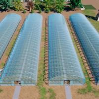 China Commercial Greenhouse Single Span Tunnel Film Greenhouse with 30 Days Return Guarantee for sale