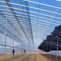 China Large Single Layer Film Tunnel Greenhouse for Year-Round Cultivation Currency US for sale