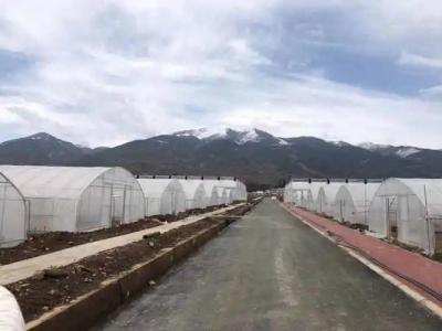 China 20.000kg Package Gross Weight Film Cover Water Pipe Hydroponics Greenhouse Solution for sale