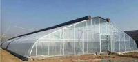 China 20.000kg Package Gross Weight Film Cover Water Pipe Hydroponics Greenhouse Solution for sale