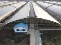 China 20.000kg Package Gross Weight Film Cover Water Pipe Hydroponics Greenhouse Solution for sale