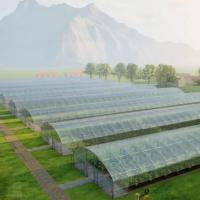 China 30-Day Return Refunds Greenhouse Hydroponics System Agricultural Tunnel Greenhouses US for sale