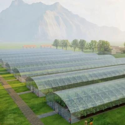 China 30-Day Return Refunds Greenhouse Hydroponics System Agricultural Tunnel Greenhouses US for sale