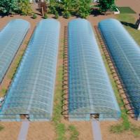 China 30-Day Return Refunds Greenhouse Hydroponics System Agricultural Tunnel Greenhouses US for sale
