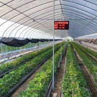 China 30-Day Return Refunds Greenhouse Hydroponics System Agricultural Tunnel Greenhouses US for sale