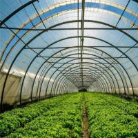 China 30-Day Return Refunds Greenhouse Hydroponics System Agricultural Tunnel Greenhouses US for sale