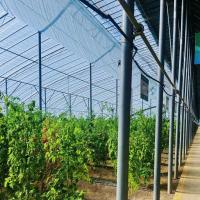 China PE Film Plastic Agriculture Greenhouse Solution Package Size 50.00cm * 60.00cm * 50.00cm for sale