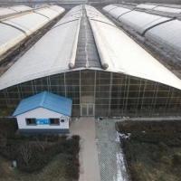 China PE Film Plastic Agriculture Greenhouse Solution Package Size 50.00cm * 60.00cm * 50.00cm for sale