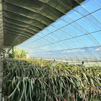 China Origin Eco Greenhouse System with Film Cover Material 20.000kg Package Gross Weight for sale