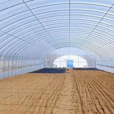 China Polytunnel Plastic Tunnel Single Span Agricultural Greenhouse for Customized Request for sale