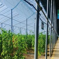 China Drip Irrigation Eco Greenhouse System About Shipping Cost and Estimated Delivery Time for sale