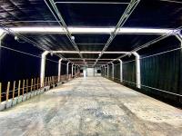 China Shipping Cost Agricultural Multi-Span Plastic Tunnel Film Greenhouse Customization for sale