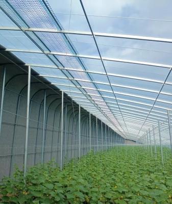 China Tech Double Layer Agricultural Plastic Film Hydropoinics Greenhouses for Aquaculture for sale
