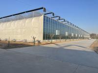 China Tech Double Layer Agricultural Plastic Film Hydropoinics Greenhouses for Aquaculture for sale