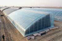 China Tech Double Layer Agricultural Plastic Film Hydropoinics Greenhouses for Aquaculture for sale