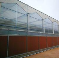China Industrial Tunnel Film Multispan Greenhouses with Hydroponic Technology and Materials for sale