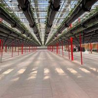 China Industrial Tunnel Film Multispan Greenhouses with Hydroponic Technology and Materials for sale
