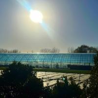 China Industrial Tunnel Film Multispan Greenhouses with Hydroponic Technology and Materials for sale