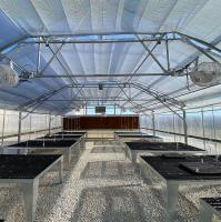 China Industrial Tunnel Film Multispan Greenhouses with Hydroponic Technology and Materials for sale