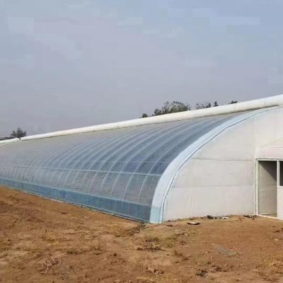 China Multi Span PVC Pipe Eco Greenhouse at Affordable Package Size 50.00cm * 60.00cm * 50.00cm for sale
