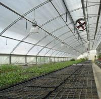 China Multi Span PVC Pipe Eco Greenhouse at Affordable Package Size 50.00cm * 60.00cm * 50.00cm for sale