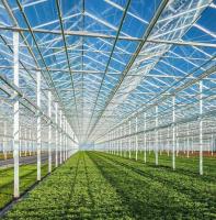 China 20GP 40GP 40HC Steel-Plastic Building Materials Greenhouse for Medical Plant/Mushroom for sale
