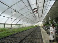 China 20.000kg Package Gross Weight Multi Span Tomato Cucumber Strawberry Growing Greenhouse for sale