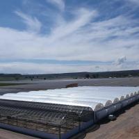 China 20.000kg Package Gross Weight Multi Span Tomato Cucumber Strawberry Growing Greenhouse for sale