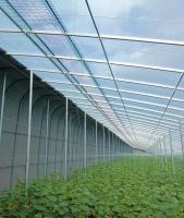 China 20.000kg Package Gross Weight Multi Span Tomato Cucumber Strawberry Growing Greenhouse for sale