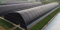 China 20.000kg Package Gross Weight Multi Span Tomato Cucumber Strawberry Growing Greenhouse for sale