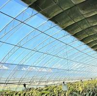 China Plastic Sheet Blackout Greenhouse for Seedling Cultivation and Medical Plant/Mushroom for sale