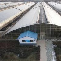 China Plastic Sheet Blackout Greenhouse for Seedling Cultivation and Medical Plant/Mushroom for sale