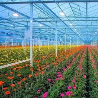 China Plastic Sheet Blackout Greenhouse for Seedling Cultivation and Medical Plant/Mushroom for sale
