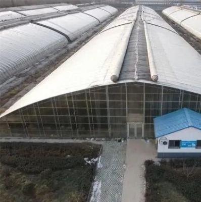 China Initial Payment Film or Polycarbonate PC Covered Double Arch Beam Tunnel Greenhouse for sale