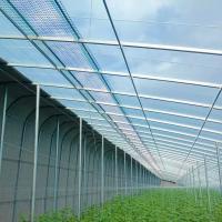China US Agricultural Multi Span Tunnel Plastic Film Greenhouses with Hydroponic System for sale