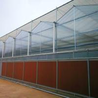 China US Agricultural Multi Span Tunnel Plastic Film Greenhouses with Hydroponic System for sale