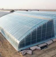 China US Agricultural Multi Span Tunnel Plastic Film Greenhouses with Hydroponic System for sale