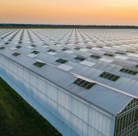 China Transform Your Farming Experience with Tomato Cucumber Strawberry Hydroponics System for sale