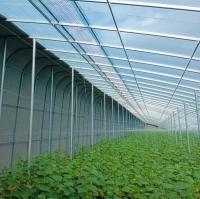 China Transform Your Farming Experience with Tomato Cucumber Strawberry Hydroponics System for sale
