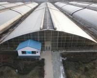 China Transform Your Farming Experience with Tomato Cucumber Strawberry Hydroponics System for sale