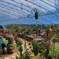 China JX-A00160 Drip Irrigation Tunnel Greenhouse for Agriculture Customized to Your Needs for sale