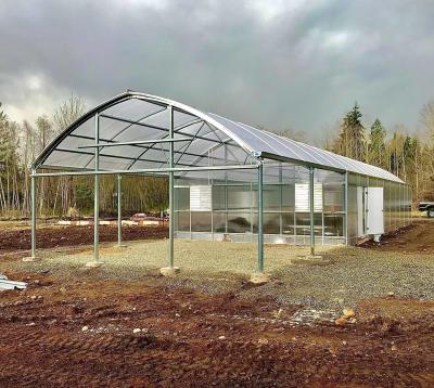 China Multi-Span Venlo Glass Greenhouse with Cocopeat Hydroponics System and Customization for sale