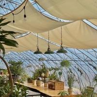 China Affordable Shipping Cost for Cocopeat Growing System Tunnel Greenhouse JX-A00161 for sale