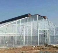 China Blackout Mushroom Greenhouse for Large-Scale Mushroom Production and Cultivation for sale