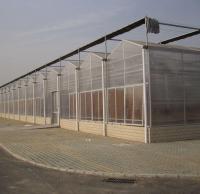 China 20GP 40GP 40HC Span Multi PE Film Plastic Agriculture Greenhouse Kit for Multi-Span for sale