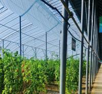 China 20GP 40GP 40HC Span Multi PE Film Plastic Agriculture Greenhouse Kit for Multi-Span for sale