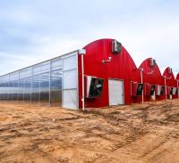 China Multi-Span Water Pipe Hydroponic Growing System for Greenhouse Aquaculture Efficiency for sale