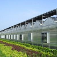 China Large Aquaculture Tomato Cucumber Strawberry Hydroponics Greenhouse with High Yield for sale