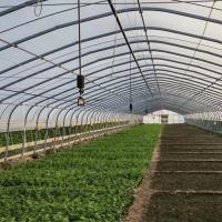 China Tunnel Greenhouse for Vegetables and Tomatoes Package Size 50.00cm * 60.00cm * 50.00cm for sale
