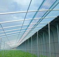 China Origin Eco Greenhouse for Tomato/Capsicum/Cucumber Steel Structure and Shipping Cost for sale